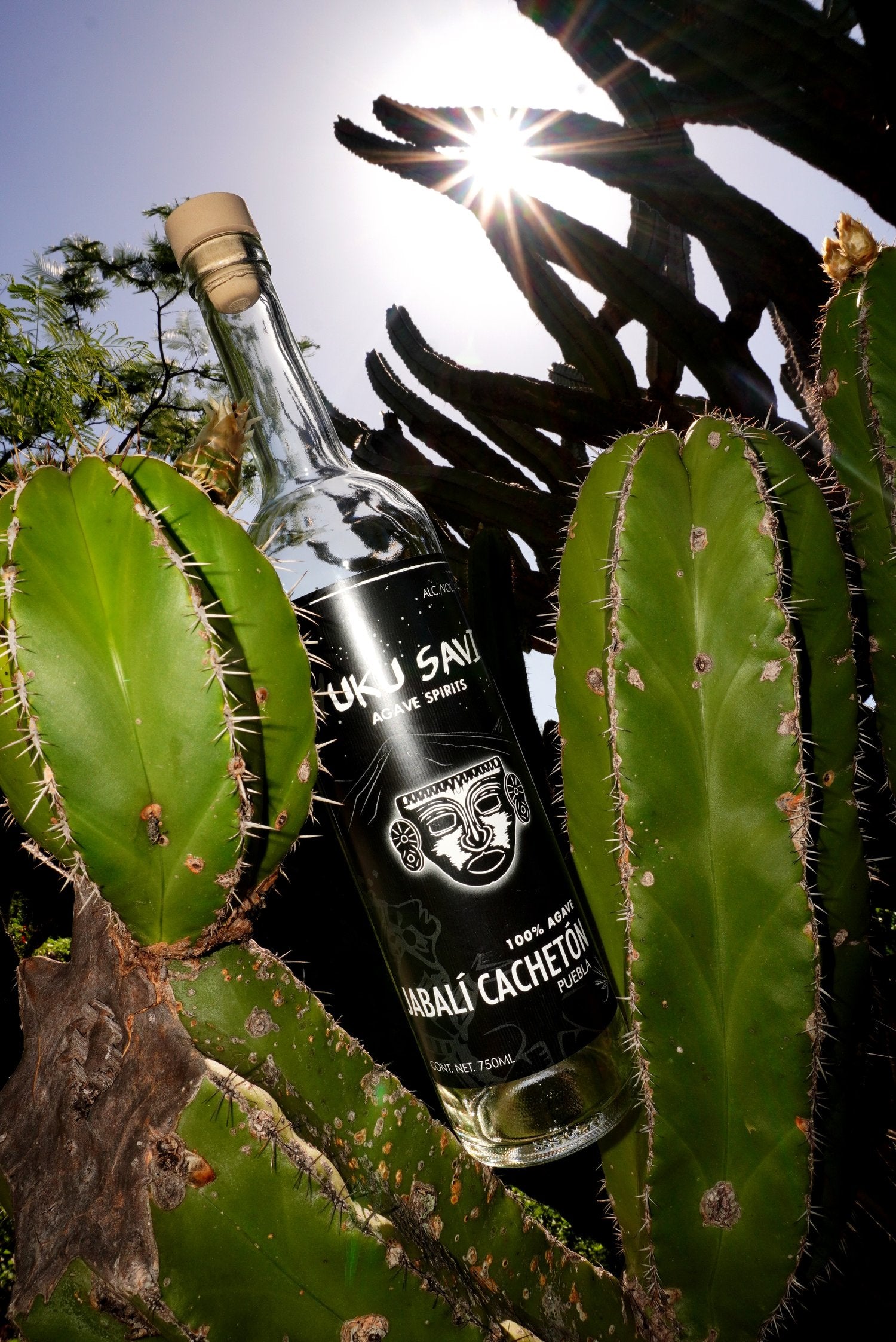 Jabali Cacheton Mezcal | Yuku Savi Premium Spirit – Bad Hombre Imports